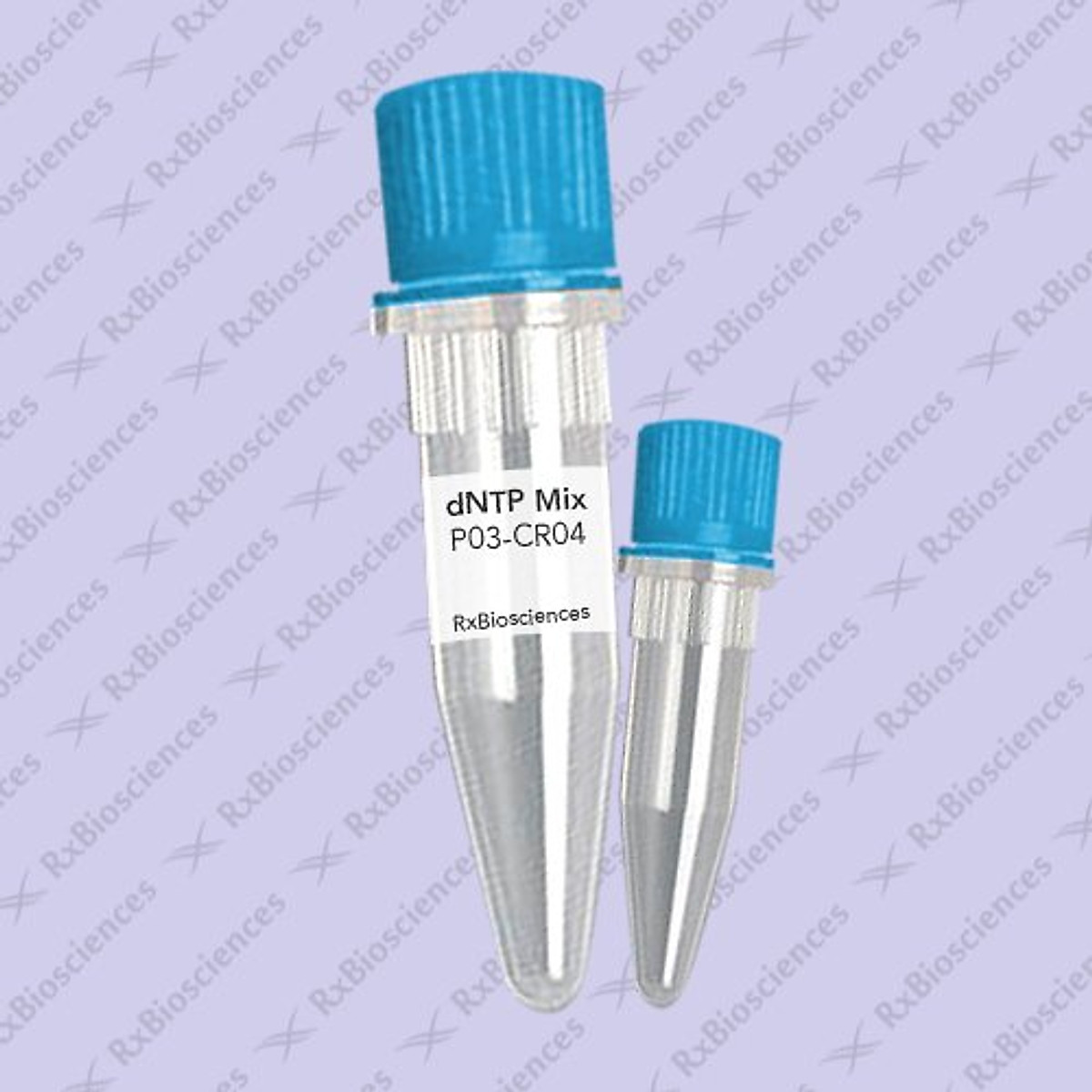 dNTP Mix P03-CR04-10, 10mM, 1ML