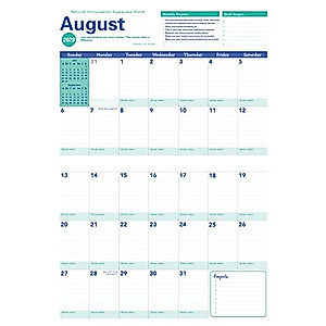 2024 Amy Knapp's Big Grid Family Organizer Wall Calendar: 17-Month Giant Fridge Calendar for Mom with 175+ Stickers (Hanging Family Plan Calendar, Thru December 2024)