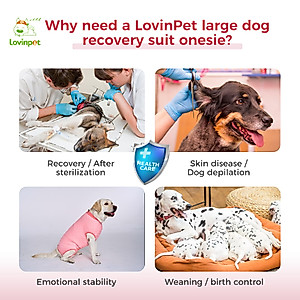 LovinPet Dog Surgical Recovery Suit Male - Surgery Suit for Dogs Female & Male Anti-Licking Protection Full Body Coverage for Anti-Shedding