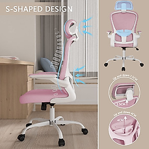 Office Chair, High Back Ergonomic Desk Chair, Breathable Mesh Desk Chair with Adjustable Lumbar Support and Headrest, Swivel Task Chair with flip-up Armrests, Executive Chair for Home Office