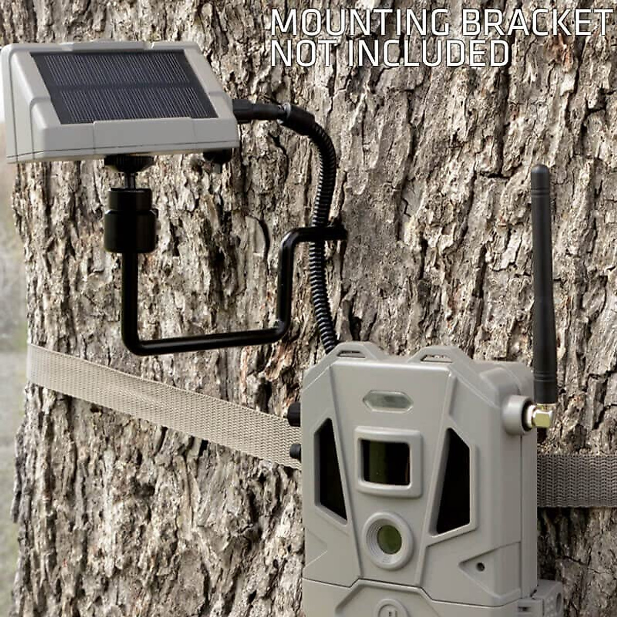 Bushnell CelluCORE 20 Solar Trail Camera, Low Glow Hunting Game Camera with Detachable Solar Panel with Bundle Options (2 PK + 2 SD Cards)