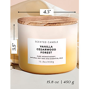 Vanilla Cedarwood Forest Candle - Large 3 Wick Scented Candle - Winter Balsam Fir Candle with Clove & Cedar - Natural Soy Candle for Home 15.8 oz - Aromatherapy Holiday Candle Gift for Women & Men