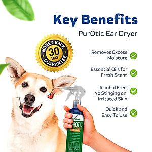 Innovet PurOtic Natural Ear Dryer for Dogs with Silicone Applicator - 4 oz Bottle - 100% Made in USA - Ear Dryer for Dogs