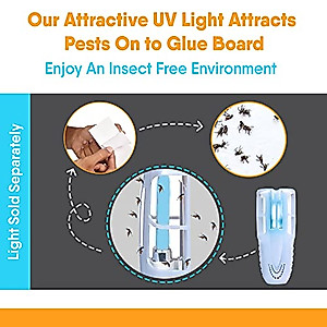 Gardner Good Night Glueboards Insects Catcher for Indoors 1 Pack of 12 Replacement - Sticky Glue Card for Good Night Bug Light - Glue Traps Mosquitoes, Bugs, Fruit Flies and Many More Insects