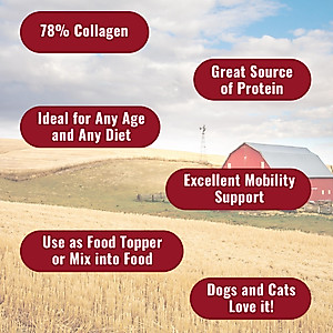 Nature's Farmacy Beef Bone Broth Powder - Excellent Source of Collagen 78 Percent - Supports Joint Function and Flexibility - Great As A Flavor Topper (6 Ounce)