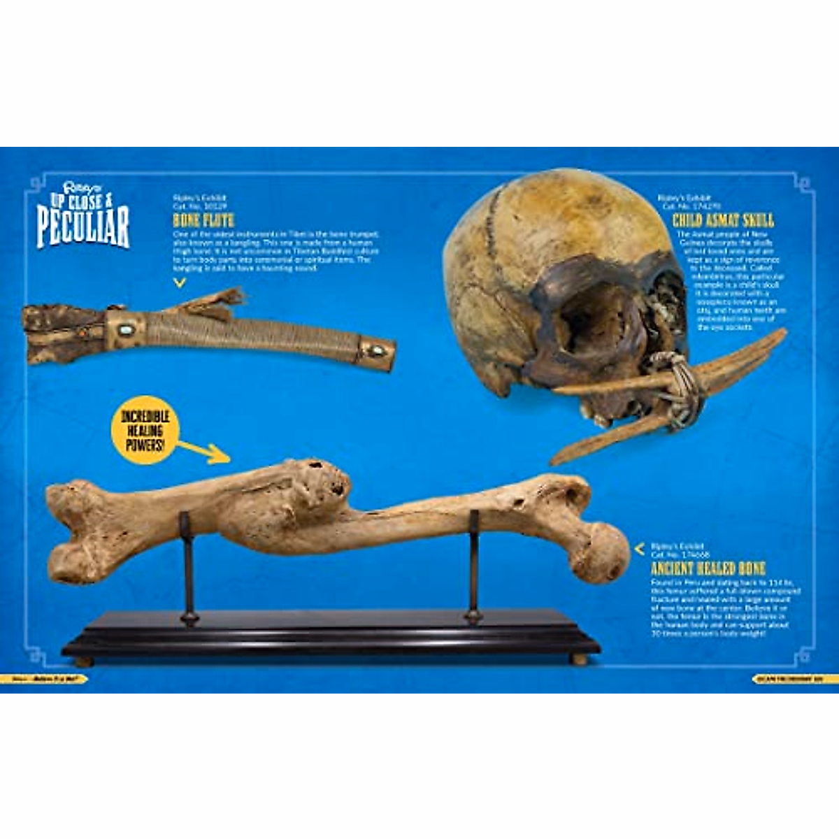 Ripley's Believe It Or Not! Escape the Ordinary (19) (ANNUAL)