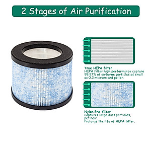 Asheviller C102 Filter Replacement, Compatible with Okaysou AirMic4S and Miko C102 IBuki Air Purifier, 2 Pack