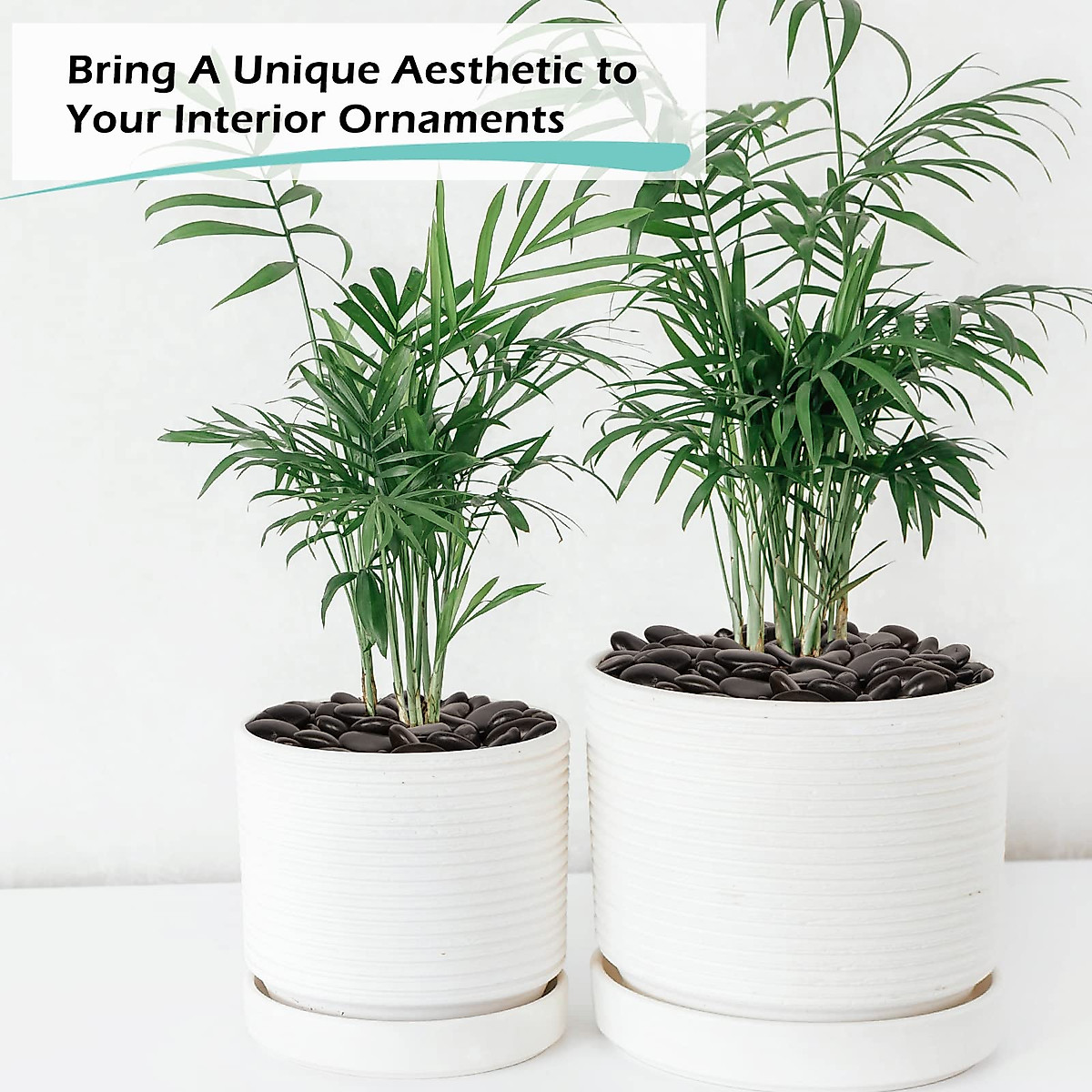 GASPRO 15 Pound Black River Rocks + 15 Pound White Pebbles, 1 to 2 Inch Black Pebbles, 3/8 Inch White Average-Sized Polished Pebble for Plants, Vase, Fish Tank, Garden