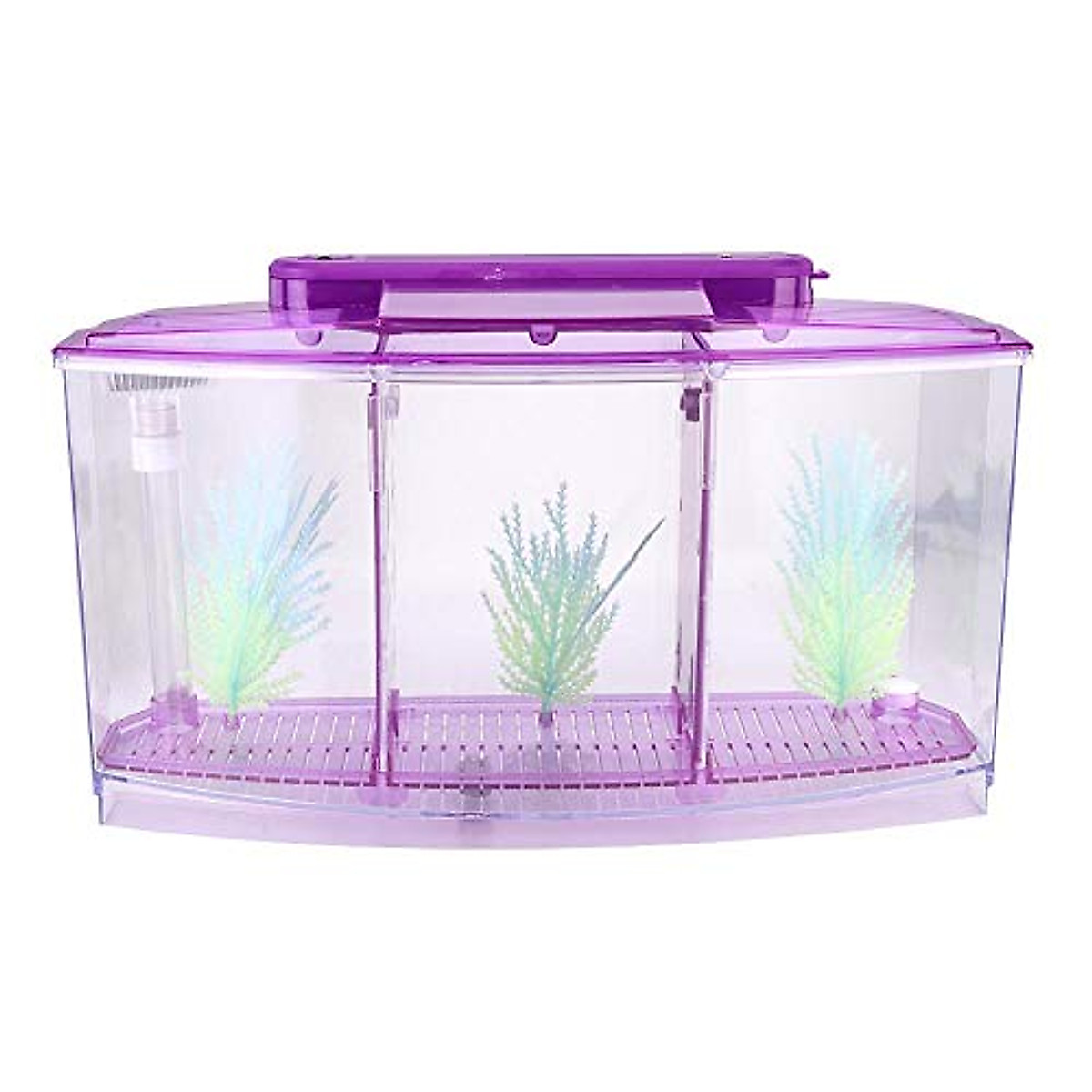 Fish Tank, Adjustable Light Isolation Acrylic Small Aquarium, with LED Light for Small Fishes for Betta with Water Change Valve(Purple)