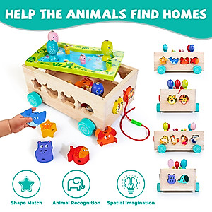 Montessori Wooden Shape Sorter Toys for Toddlers, Multifunctional Magnetic Fishing Car with Animal Blocks & Fishing Game, Preschool Baby Gift, Fine Motor Skills Toys for 1-3 Year Old Boys Girls