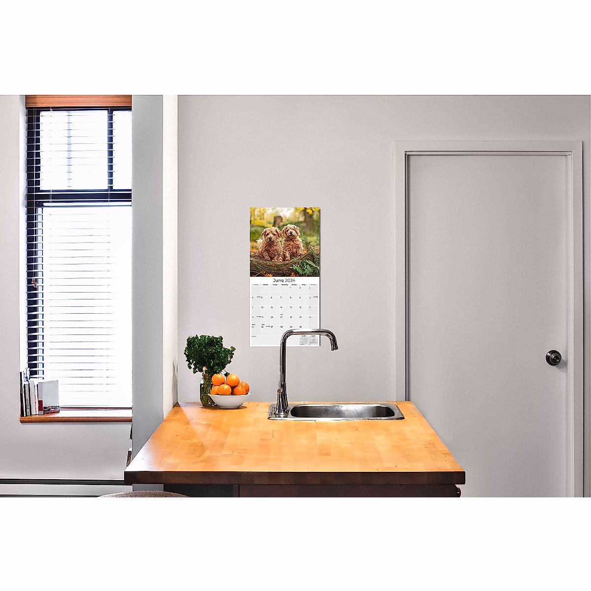 2022 2023 Norwich,Norfolk Calendar,Dog Breed Monthly Wall Calendar,Norwich,Norfolks Calendar,12x24 Opened,Thick No-Bleed Paper,Giftable,Planner Calendar for Organizing & Planning,Made in USA