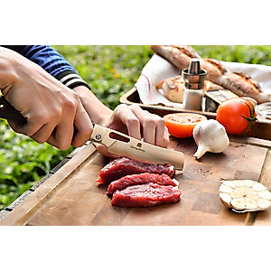 ZhengSheng Folding Chef Knife 4.8" Sharp 440A Stainless Steel Blade Wooden Handle Pocket Foldable Japanese Style Kitchen Knife for Outdoor Camping Cooking