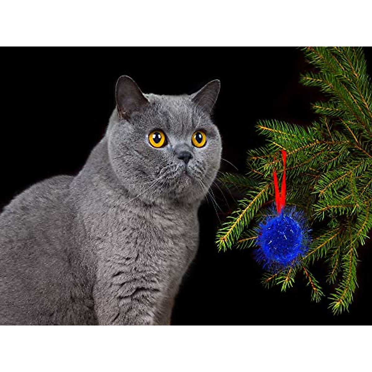 Axe Sickle 20 Pcs 2 Inch Sparkle Ball Cat Toy Interactive Balls Multicolor for Kittens Exercise and Multiple Cats Play and Chase