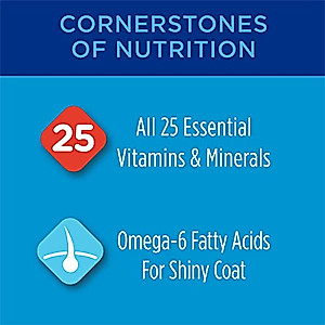 Cat Chow Complete High Protein with Salmon Cat Food Dry Formula - (4 Packs of 4) 3.15 lb. Bags