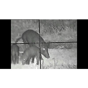 Night Vision Scope Attachment 3D