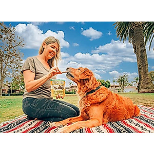 Fetch Fries Organic Chicken & Sweet Potato Jerky Fries for Dogs (5 oz).