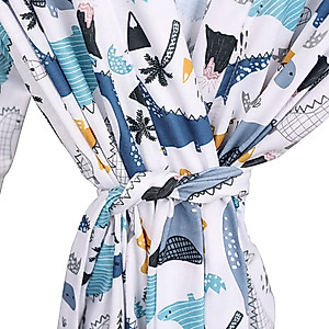 Mommy and Me Robe and Swaddle Set Floral Print Maternity and Baby Matching Hospital Labor Delivery Swaddling Wrap Blanket Dress with Headband Hat for Mom and Girl Boy 4pcs Outfit Blue Dinosaur L/XL