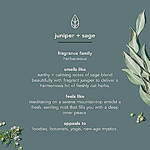 Method Men Body Wash, Juniper + Sage, Paraben and Phthalate Free, 18 fl oz (Pack of 1)