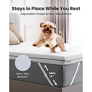 Dreamsmith Queen 3 Inch Memory Foam Mattress Topper, Cooling Gel-Infused Bed Topper for Back Pain with Removable Soft Cover, CertiPUR-US Certified, Queen