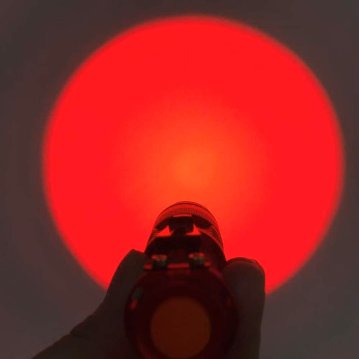 3 Pack Red Light Flashlight,3 Modes Red Led Flashlight,Zoomable Long Range Red Hunting Light Red Flashlight Torch with Clip for Hunting,Detector,Night Observation, Night Detecting-Black House