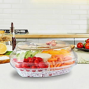 MOLIGOU Chilled Serving Tray, Ice Party Platter with Lid, 4 Compartments Appetizer Serving Tray on Ice