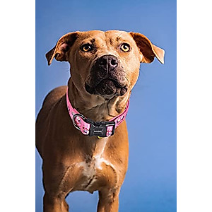 Arendelle Dog Collar Soft Durable Fashionable Adjustable Print fine Pattern, Suitable XS Small Medium Large Boys Girls Pets(M (Neck 12.9-21.6 inch Width 0.8 inch), Purple and Blue Cartoon)