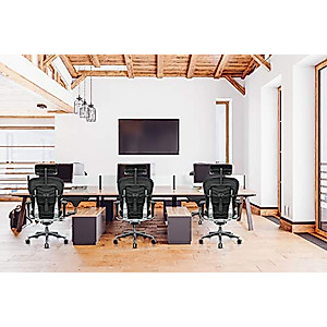 Eurotech Seating Ergohuman High Back Mesh Managers Chair, Black