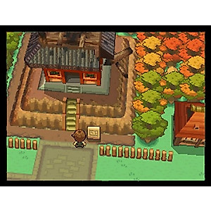 Pokemon HeartGold Version