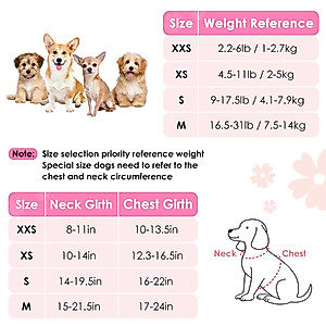 Lukovee Puppy Harness and Leash Set, No Pull Lightweight Soft Suede Adjustable Pet Harness Vest with Snap Buckle for Puppy Small and Medium Size Dog (Pink Strawberry, XXS)