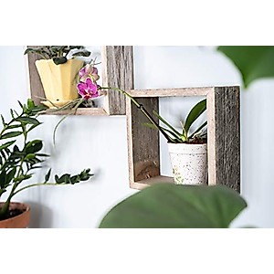 BarnwoodUSA Rustic Shelves, Square Floating Wood Shadowbox, Home Decor, Set of 3 (Natural Weathered Gray)