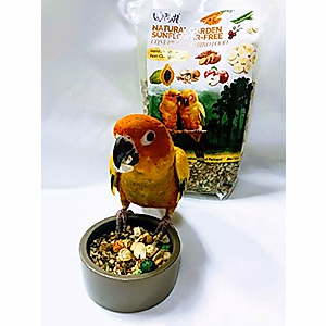 Birds LOVE All Natural Garden Blend Bird Food for Conures - Sunflower Free 2lb