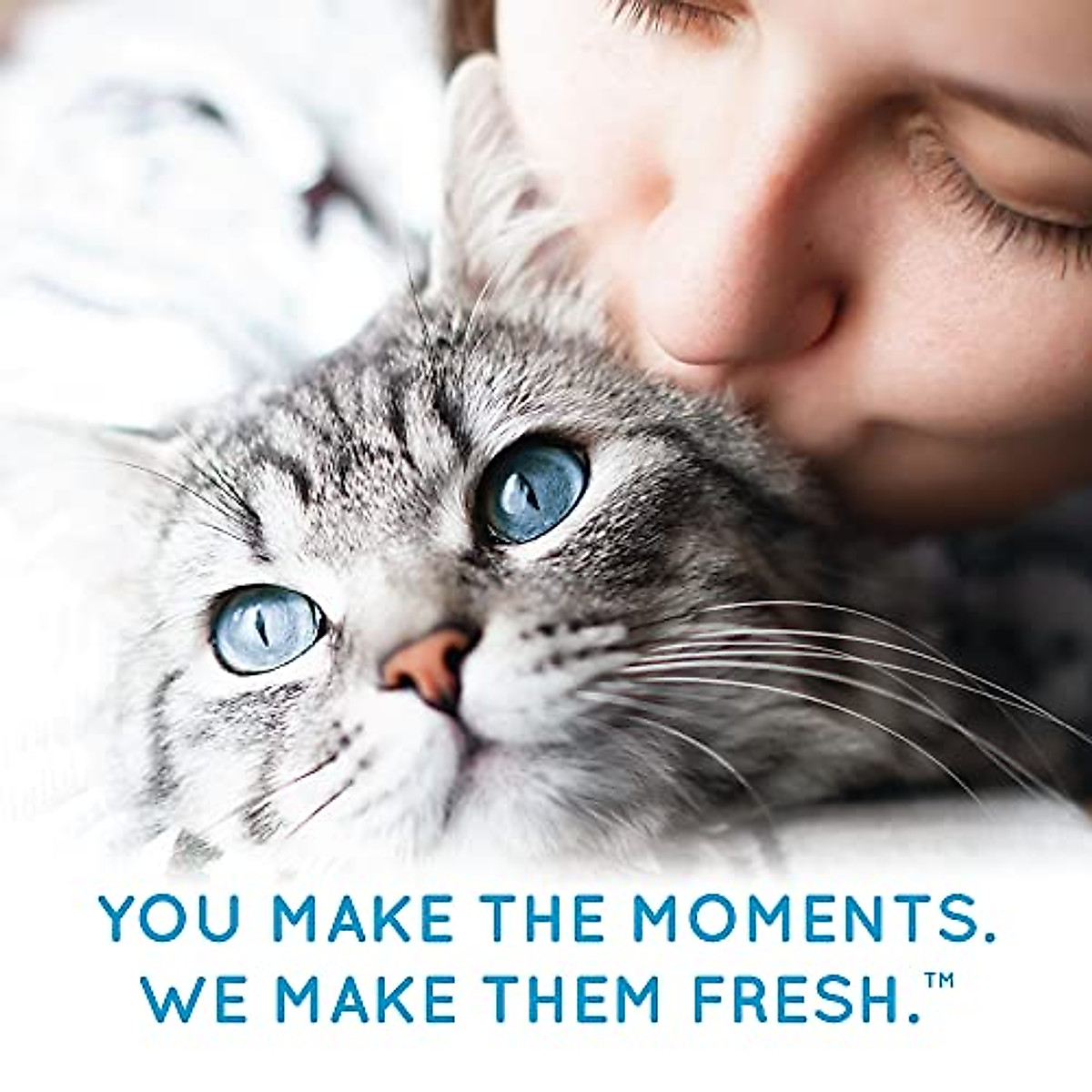 TropiClean Oxymed Waterless Cat Shampoo and Conditioner, A No-Rinse Cat Wash for Hairball Relief 7.4 Ounce