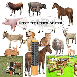 Sovipal Upgraded Equine & Bovine Massage Brush Kit - Soft Touch Itchin Post Pad- Animal Scratchers for Safe and Satisfying Itch Relief with Hoof Pick- 2Pieces