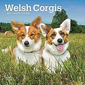 Welsh Corgis | 2023 7 x 14 Inch Monthly Mini Wall Calendar | BrownTrout | Animals Dog Breeds DogDays