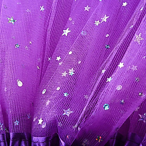 Birthday Tutu for Women Plus Size Skirt Princess Bulb Pleated Star Women Sequins with LED Tulle Skirt Small Mesh Skirt Purple