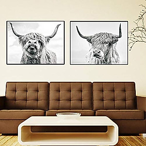 2 Pieces Highland Cow Canvas Wall Art Black and White Poster Art Decor Painting Home Decor for Living Room Office Bedroom(Unframed,16x20 inches)