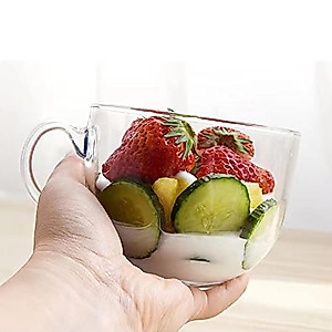 DONYU 2 Pieces Glass Cup 16OZ Clear Coffee Mug with Lids Spoon for Breakfast Tea,Milk,Beverage,Oats,yoghurt