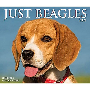 Just Beagles 2021 Box Calendar (Dog Breed Calendar)