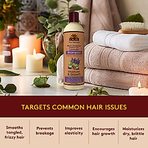 OKAY | Black Jamaican Castor Oil & Lavender Shampoo | For All Hair Types & Textures | Moisturize, Strengthen & Regrow Hair | With Argan Oil | Free of Paraben, Silicone, Sulfate | 12 oz