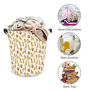 PNDLKEIR Golden Retrievers Pattern Foldable Oxford Cloth Laundry Hamper Waterproof Laundry Basket for Bathroom, Bedroom, Laundry Room - 17.3 X 17.3 Inch, Large size, style