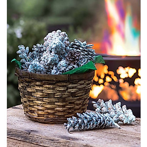 Plow and Hearth Color-Changing Fireplace Color Cones, 1 lb. in Gift Basket, Indoor/Outdoor Wood Fires, Fire Pit, Hostess Gift, Housewarming Gifts, 10 Minutes, Blue and Green Flames, 7" Dia. x 10" H