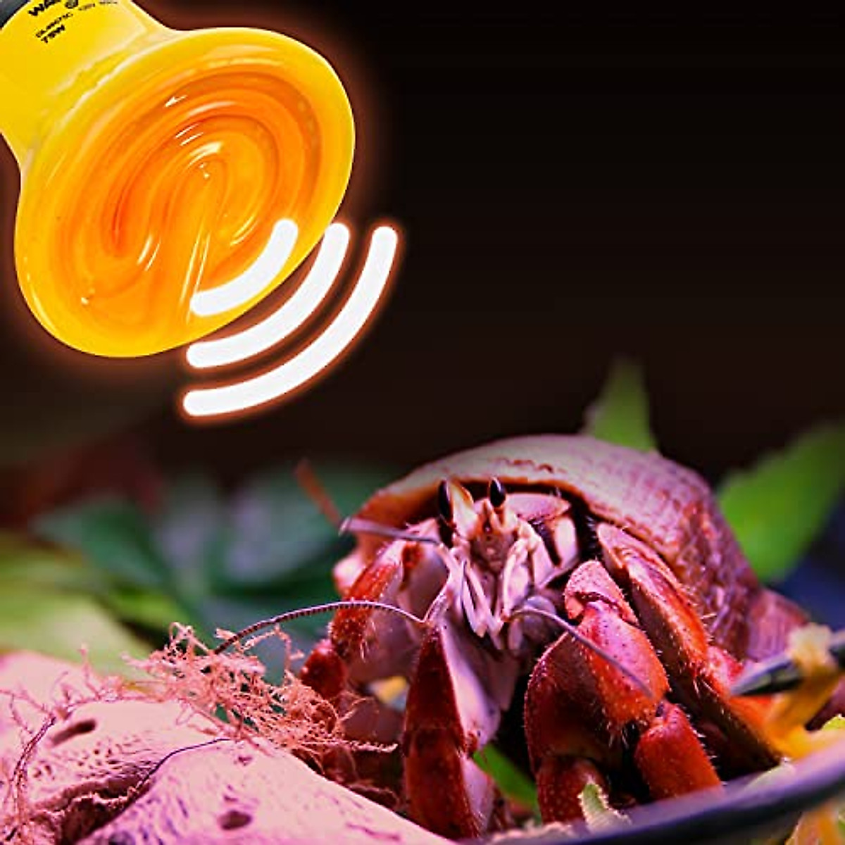 WACOOL Ceramic Heat lamp Bulbs for Reptiles, Color Changing Reptile Heat Lamp 75W 2 Pack, Reptile Heat Light Bulb