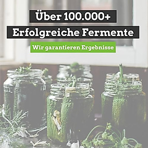 Nourished Essentials - Set of 4 Heavy Glass Fermentation Weights Lids - Grooved Handles - Canning Supplies - for Pickling & Canning - Fits Wide Mouth Mason Jars