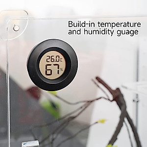 Hedgine Reptile Acrylic Terrarium, Mini Habitat Tank Chameleon Accessories Feeding Box with Magnetic Locking for Chameleons, Geckos, Gecko, Lizard, Bearded Dragon