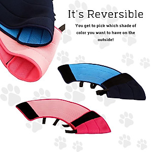 Generic Extra Large Pet Recovery Collars Extra Large Blue