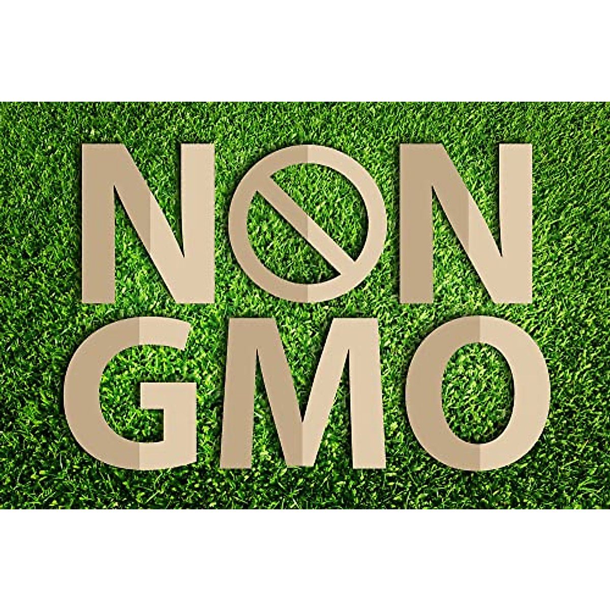 Best Earth Naturals Mushroom Complex - Vegan Formula with Lion’s Mane, Reishi, Chaga, Maitake, and Shiitake Mushrooms - 30 Day Supply