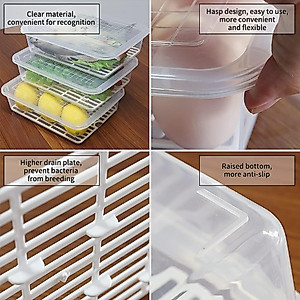 77L Food Storage Container, (3-Pack) Plastic Food Containers with Removable Drain Plate and Lid, Stackable Portable Freezer Storage Containers - Tray to Keep Fruits, Vegetables, Meat and More (Large)
