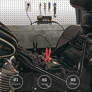 PZP 12V Manual Battery Charger Maintainer, 0 to 10A Arbitrarily Adjustable Car Battery Trickle Charger, Battery Desulfator with Repair, Winter Mode, Suitable for Lawn Mower, AGM, Deep Cycle Batteries