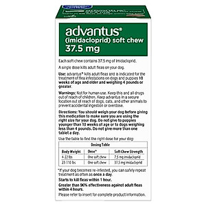 Advantus Dog Advantus Chewable Flea Treatment for Dogs 23 - 110 lbs. | 7 ct.