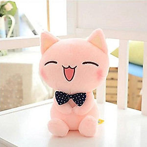 ECTY Cat Plush Cute Plushies, Pink Cat Plushie, Cat Stuffed Animals, Kawaii Plush Toys for Kids - 11 inch